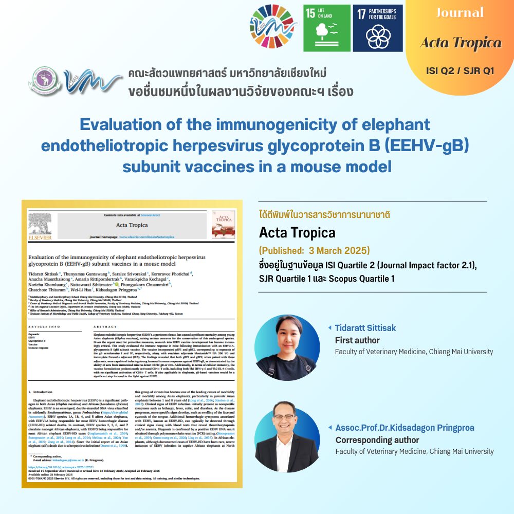 คณะสัตวแพทยศาสตร์